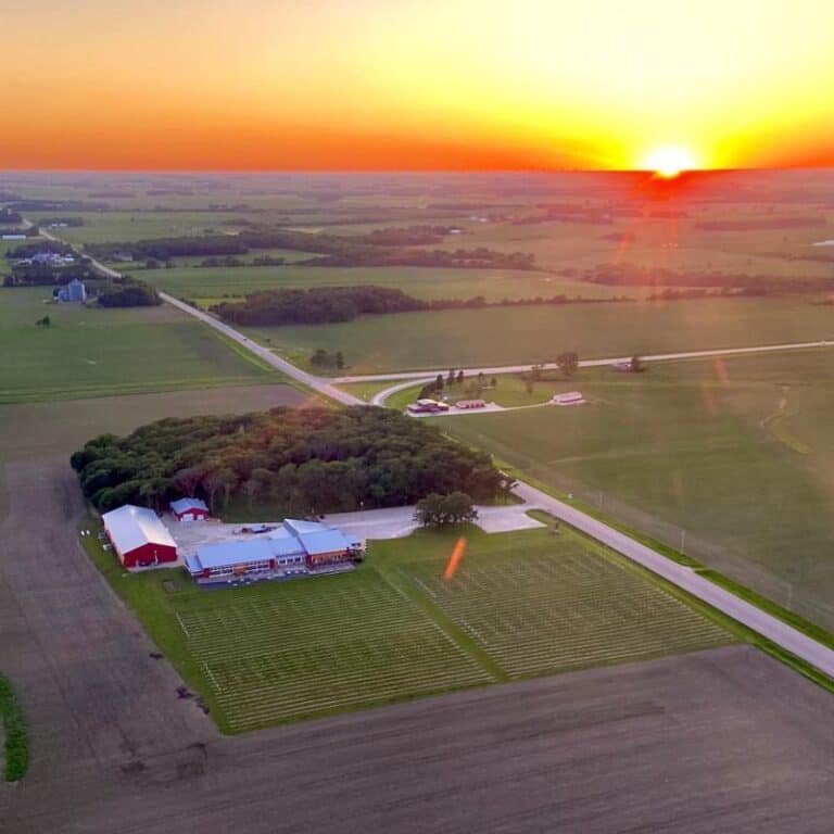 Minnesota Wine Tasting: 12 Best Wineries to Visit