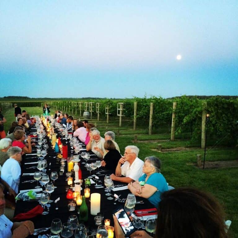 Minnesota Wine Tasting: 12 Best Wineries to Visit