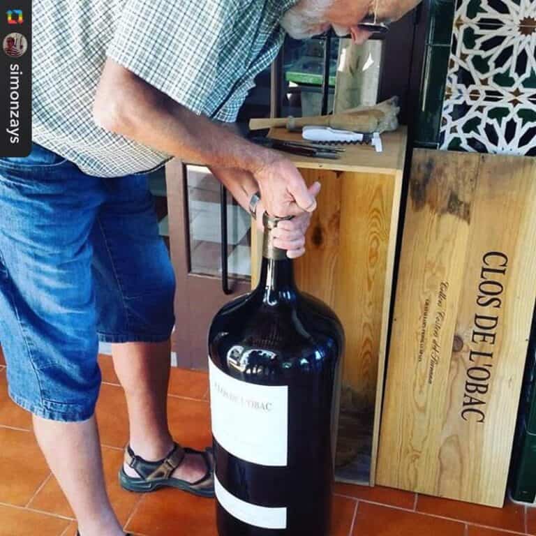 Wine Bottle Dimensions: 15 Wine Bottle Sizes And Meanings