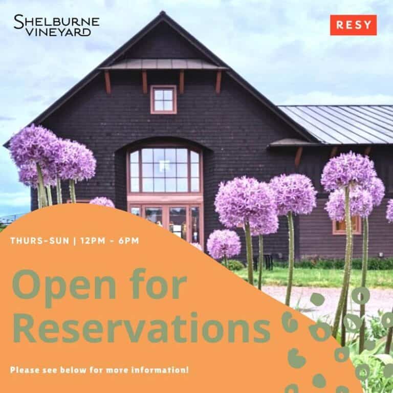 Vermont Wine Tasting: 7 Best Wineries to Visit 2023