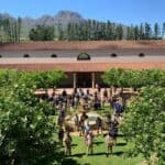 Stellenbosch Wine Tour 2026: 8 Best Wineries to Visit - Coastal Wine Trail