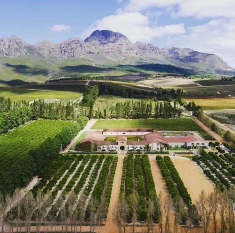 Stellenbosch Wine Tour 2023: 8 Best Wineries to Visit - Coastal Wine Trail