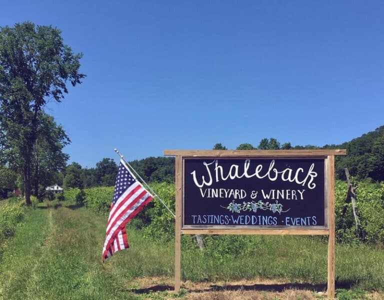 Vermont Wine Tasting: 7 Best Wineries to Visit 2023