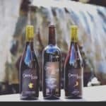 10 Best Wineries in Loudoun County to Visit 2023