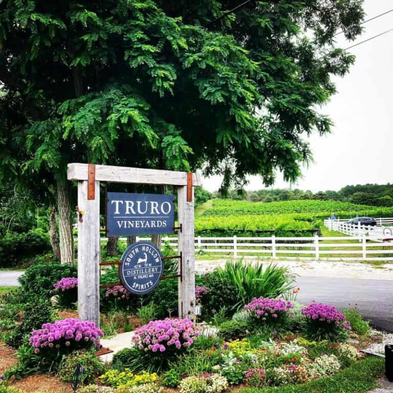 20 Best Things You Can Do In Truro MA - Coastal Wine Trail