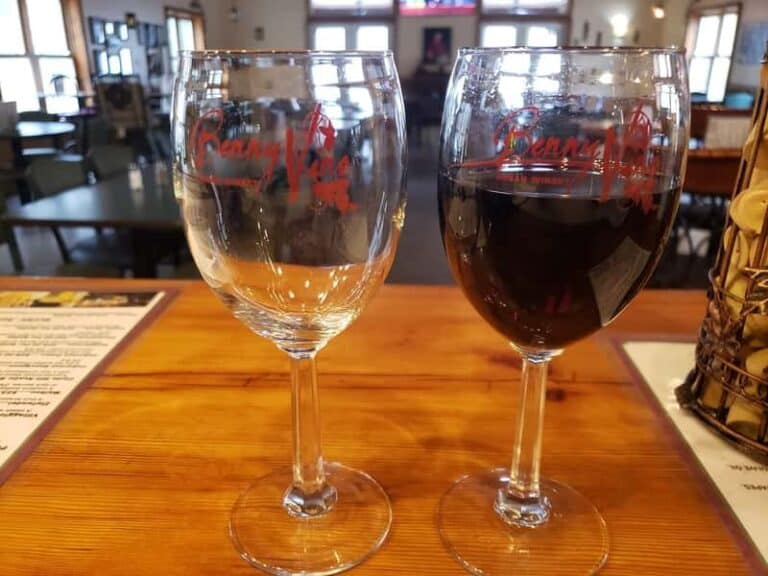 The 10 Best Wineries in Geneva, Ohio (2023 Update) - Coastal Wine Trail