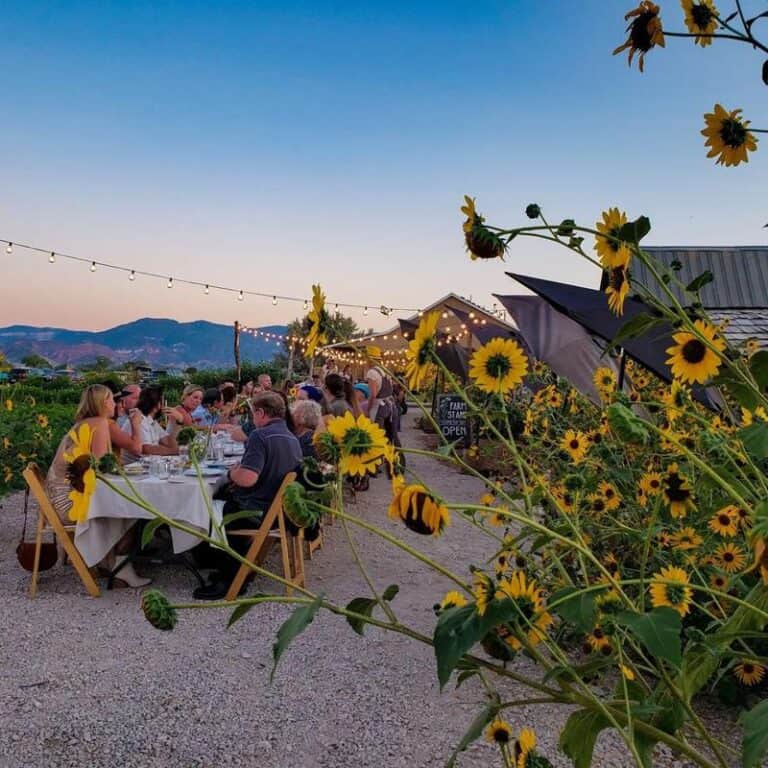 4 Best Wineries in Utah to Visit (2023 Update)