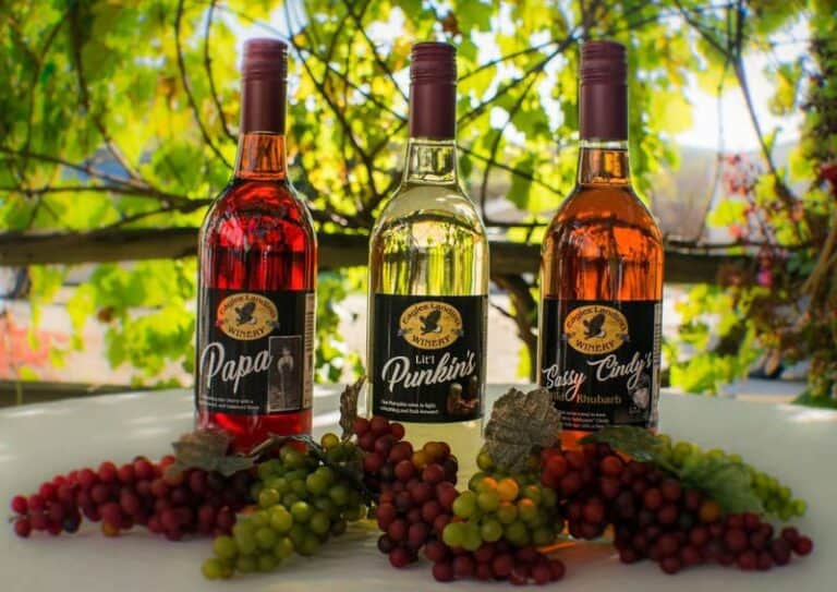 The 10 Best Iowa Wineries to Visit in 2023