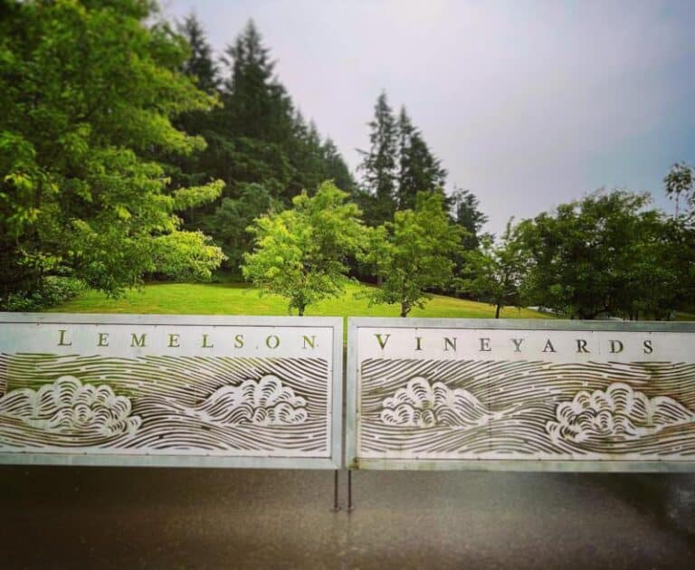 Willamette Valley Wine Tour 2023: Top 10 Winieries to Visit