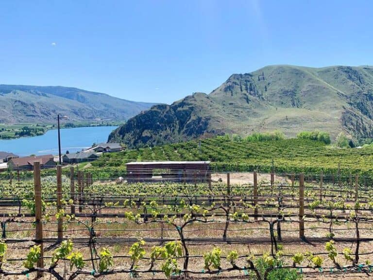 10 Best Columbia Valley Wineries to Visit in 2026