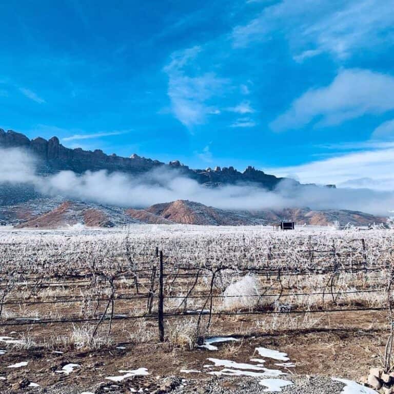4 Best Wineries in Utah to Visit (2026 Update)
