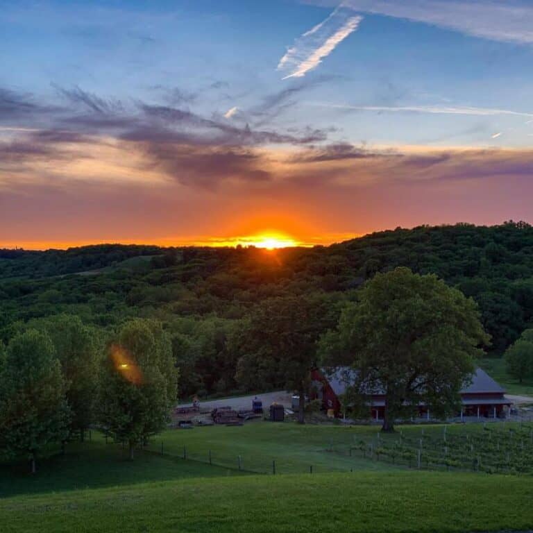 The 10 Best Iowa Wineries to Visit in 2023
