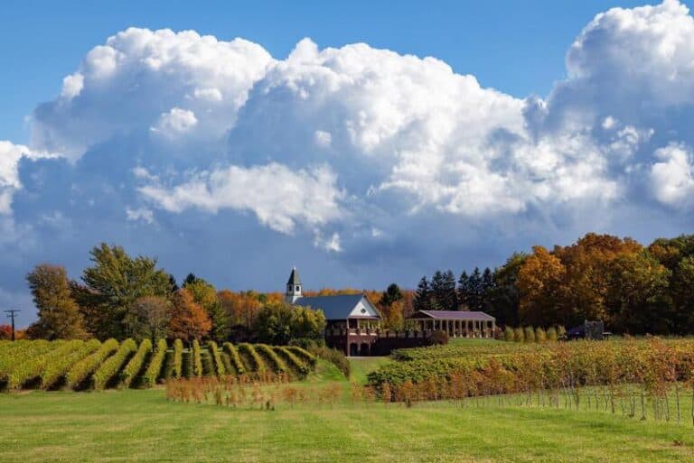 10 Best Wineries in Geneva, Ohio in 2026 - Coastal Wine Trail