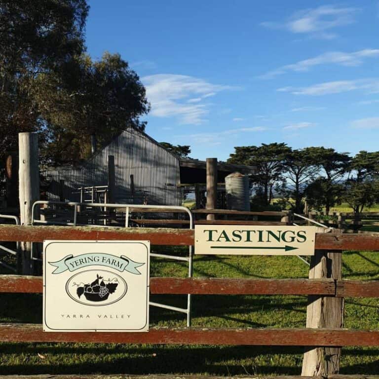 10 Best Wineries in Yarra Valley to Visit 2023