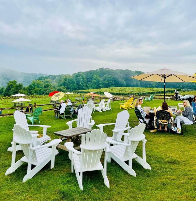 12 Best Wineries & Vineyards in Connecticut 2022