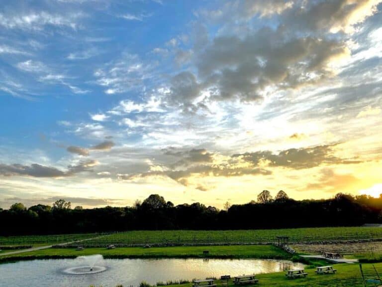 12 Best Wineries & Vineyards in Connecticut 2022