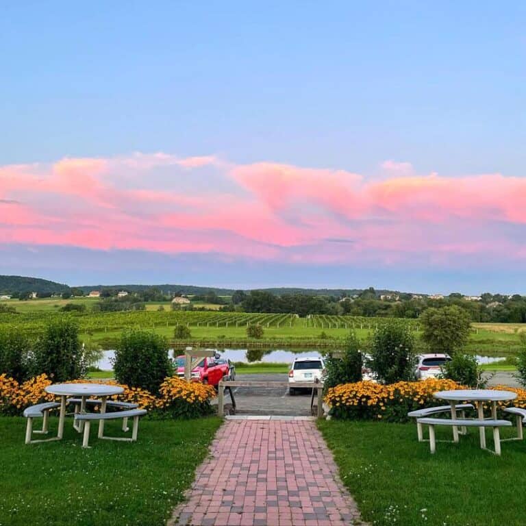 12 Best Wineries & Vineyards in Connecticut 2022