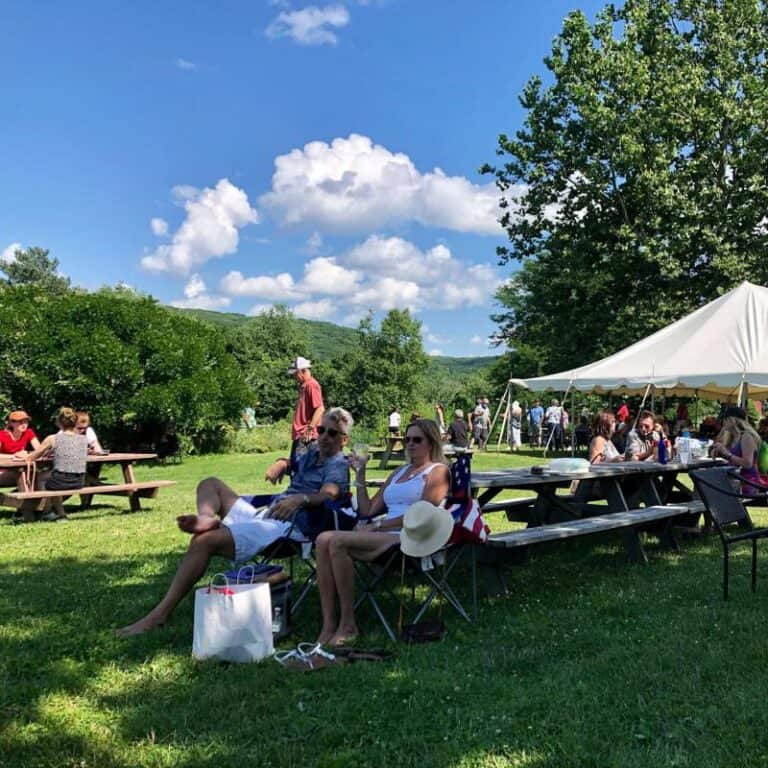 12 Best Wineries & Vineyards in Connecticut 2022