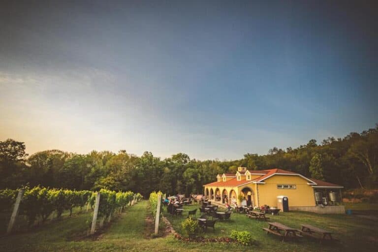 12 Best Wineries & Vineyards in Connecticut 2022