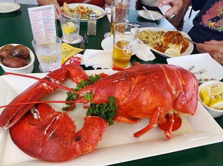 12 Best Restaurants in Cape Cod (2023 Update)