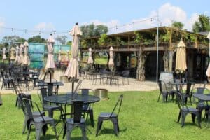 11 Best Wineries in New Jersey to Visit 2023