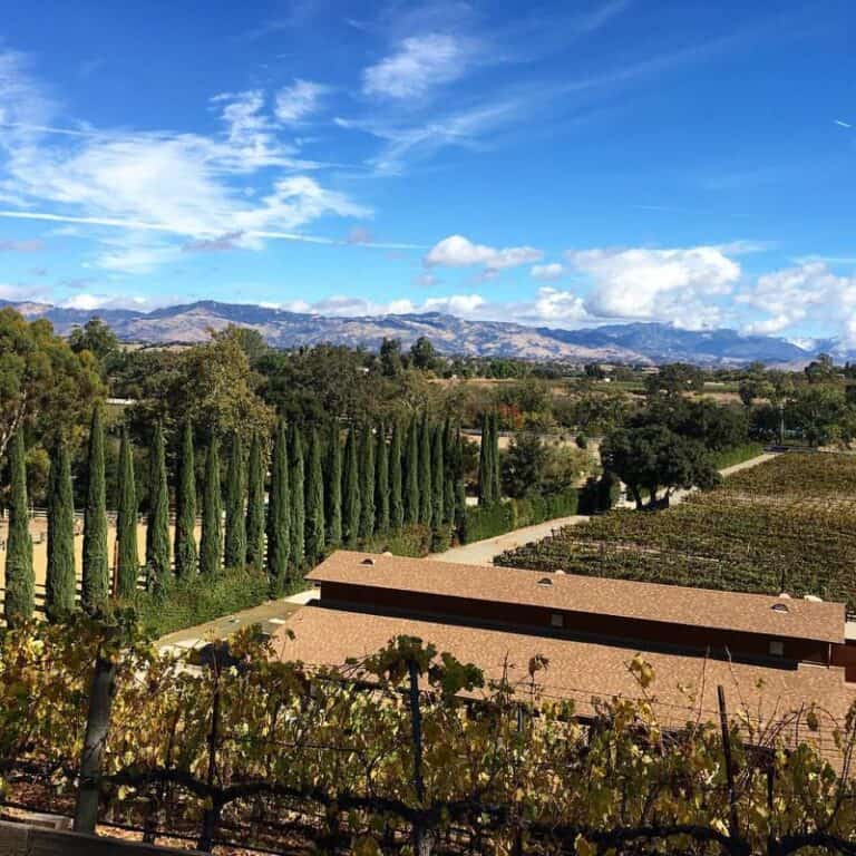 Solvang Wine Tasting: 11 Best Wineries to Visit