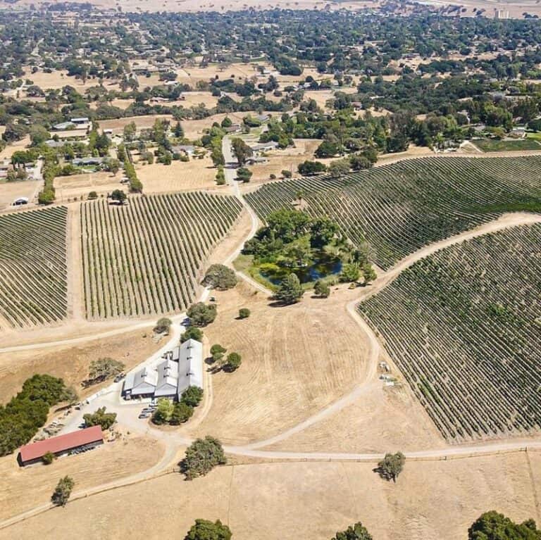 Solvang Wine Tasting: 11 Best Wineries to Visit