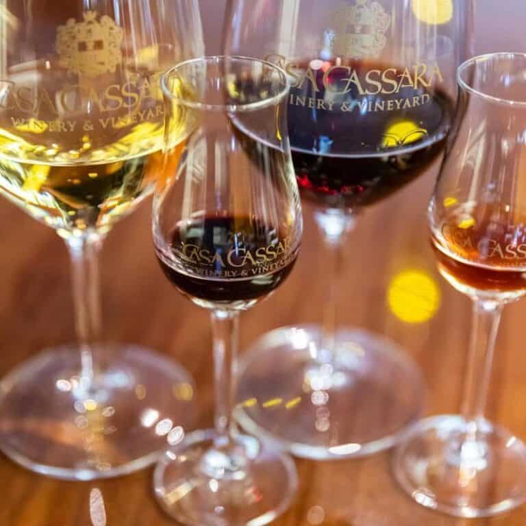 Solvang Wine Tasting: 11 Best Wineries to Visit