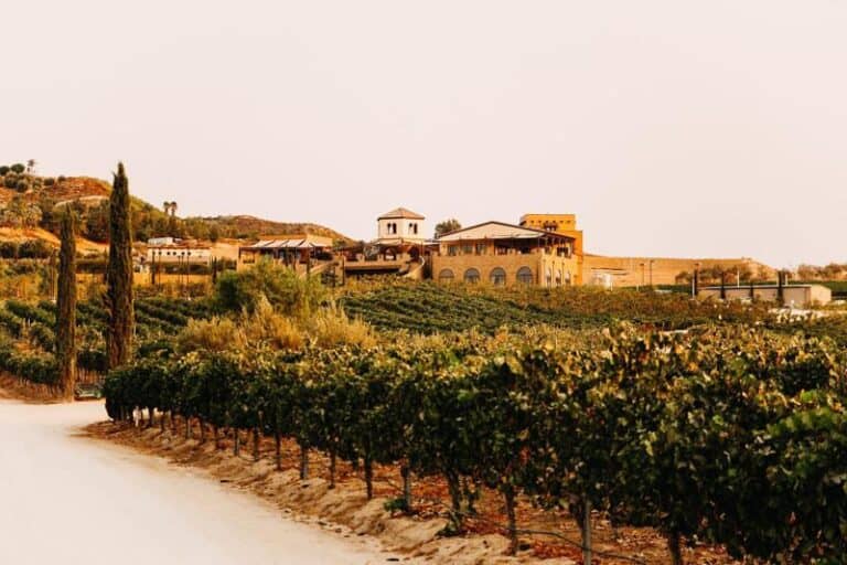 Temecula Wine Tasting 2026: 12 Best Wineries To Visit
