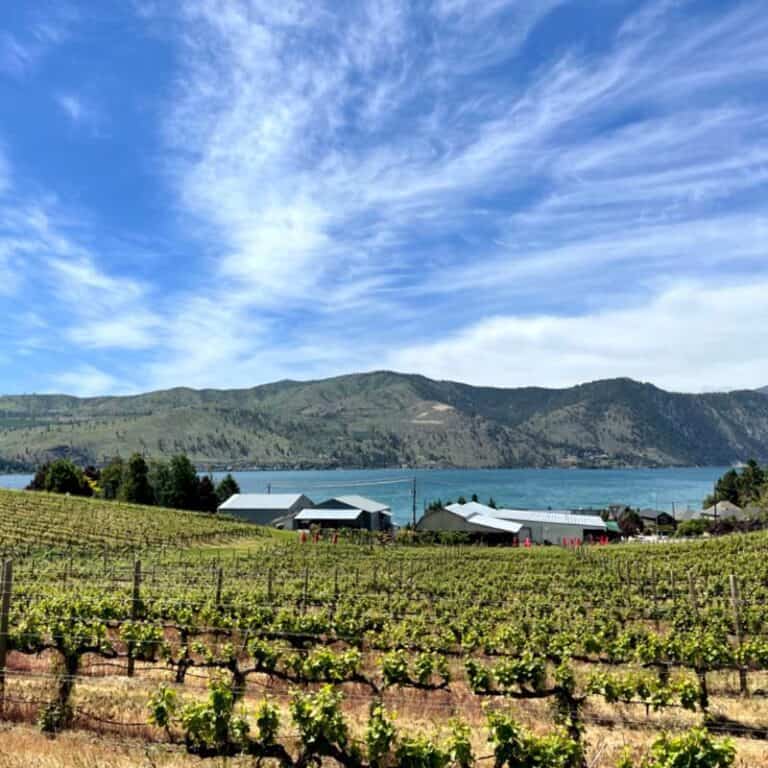 The 10 Best Lake Chelan Wineries: Wine, Views & Fishing
