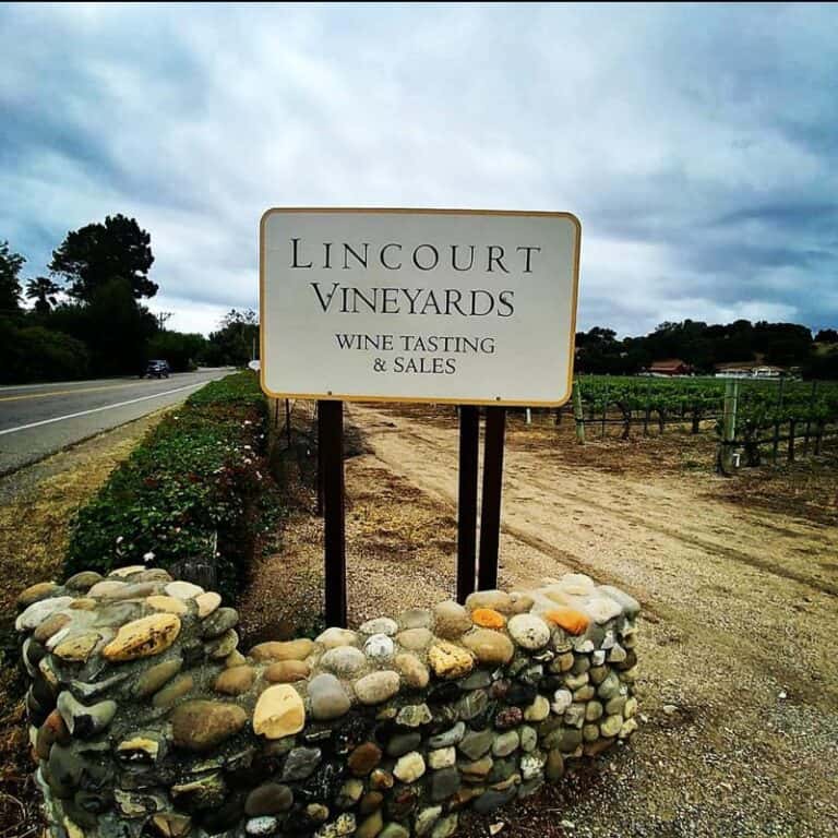 Solvang Wine Tasting: 11 Best Wineries to Visit