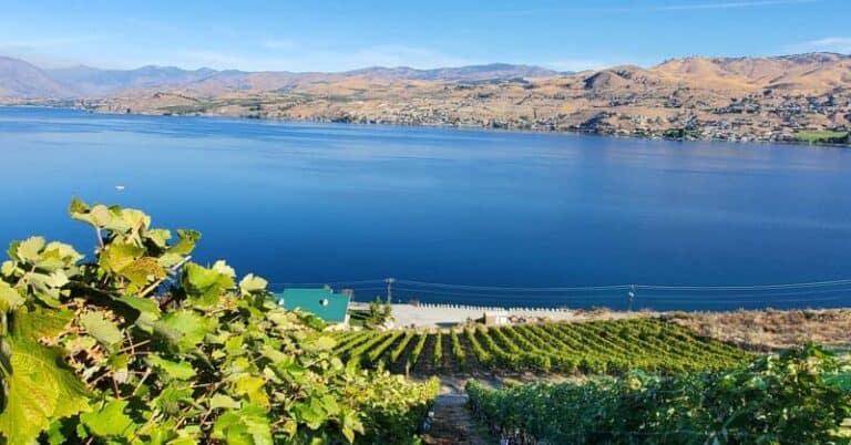The 10 Best Lake Chelan Wineries: Wine, Views & Fishing