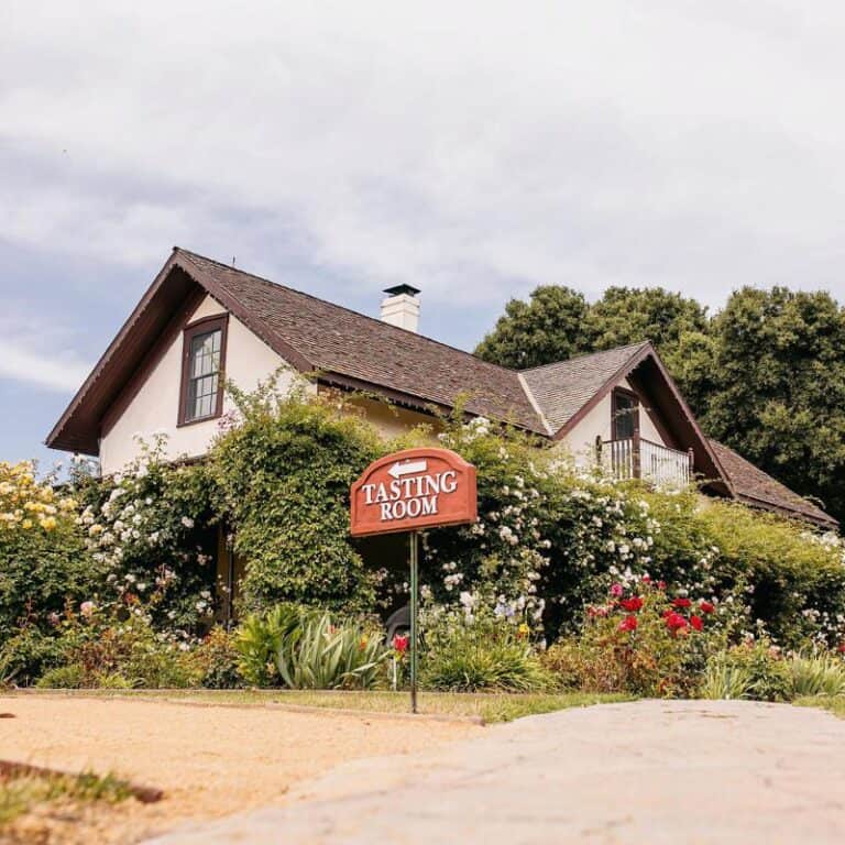 Solvang Wine Tasting: 11 Best Wineries to Visit