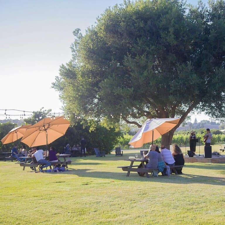 Solvang Wine Tasting: 11 Best Wineries to Visit