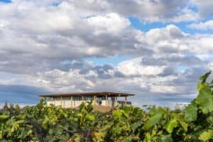 10 Best Seattle Wineries You Should Visit in 2023