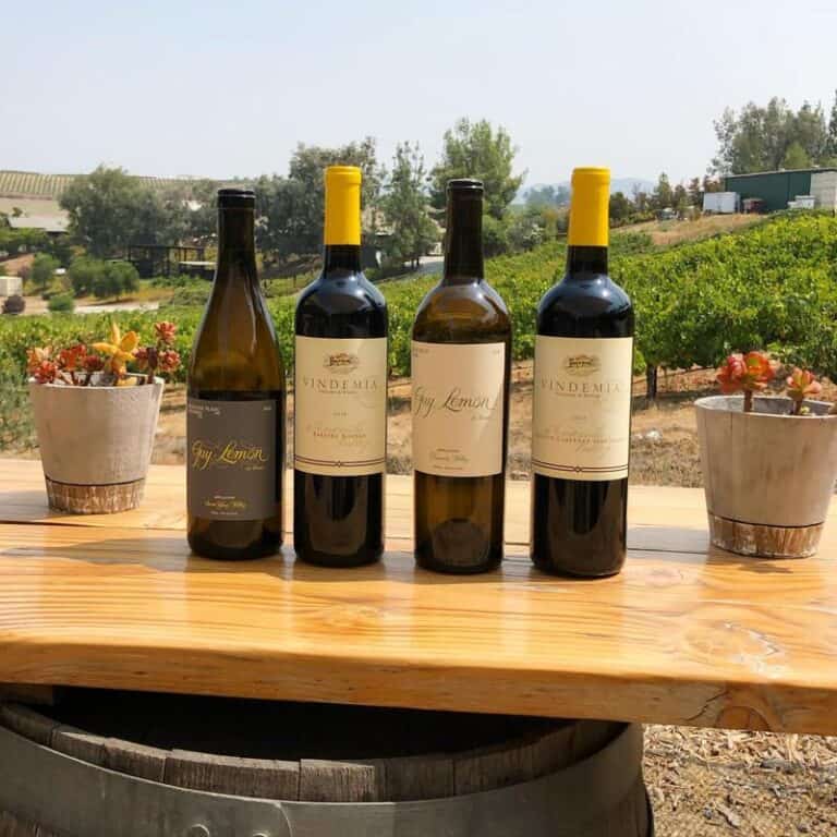 Temecula Wine Tasting 2022: 12 Best Wineries To Visit