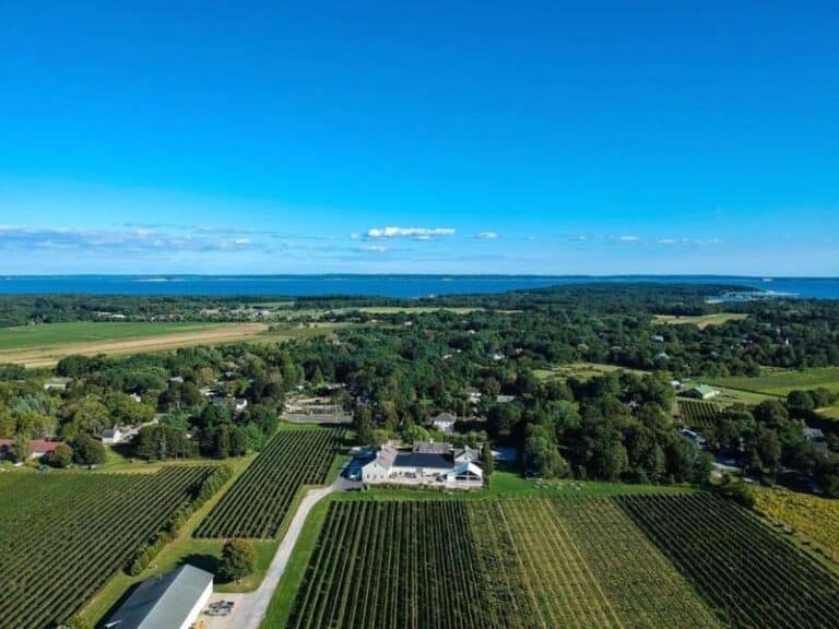 The 10 Best North Fork Wineries to Visit in 2026