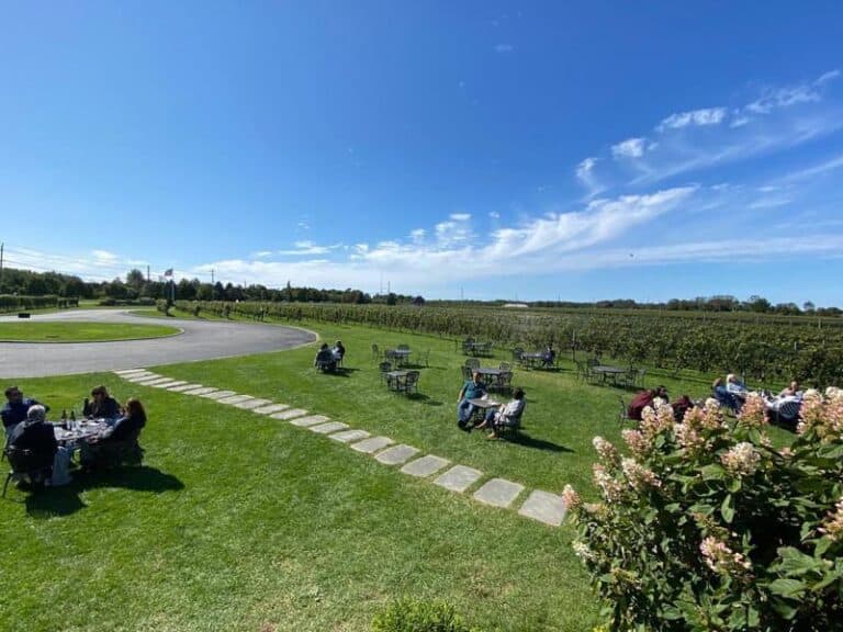 The 10 Best North Fork Wineries to Visit in 2023