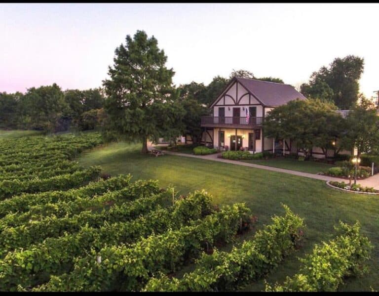 10 Best Wineries in Tennessee to Visit 2023